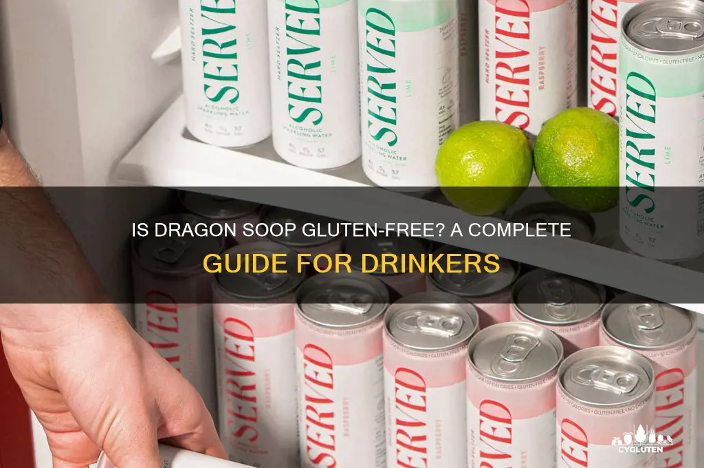 Is Dragon Soop Gluten-Free? A Complete Guide For Drinkers | CyGluten
