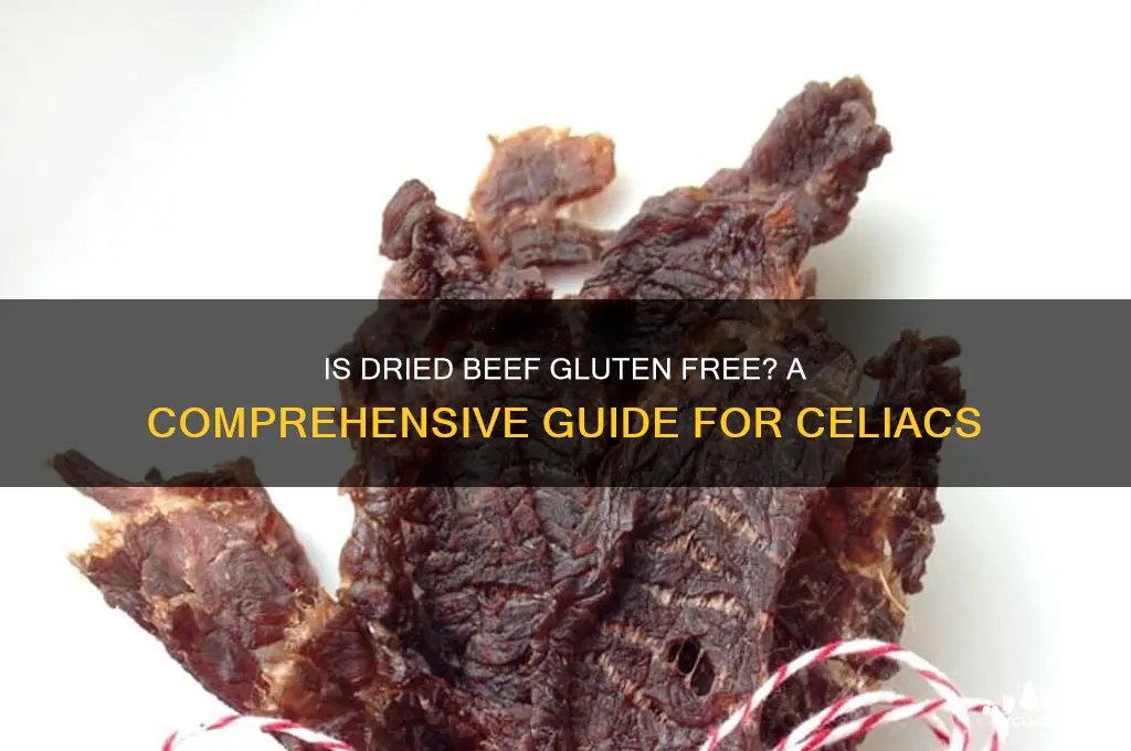 Is Dried Beef Gluten Free? A Comprehensive Guide For Celiacs | CyGluten