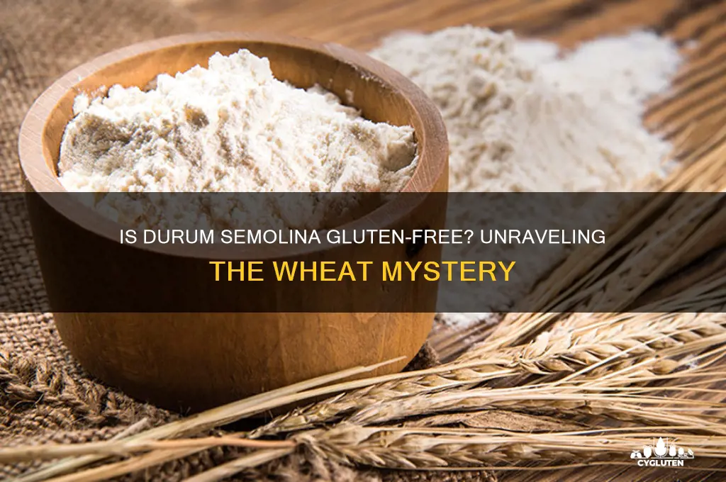 Is Durum Semolina Gluten-Free? Unraveling The Wheat Mystery | CyGluten