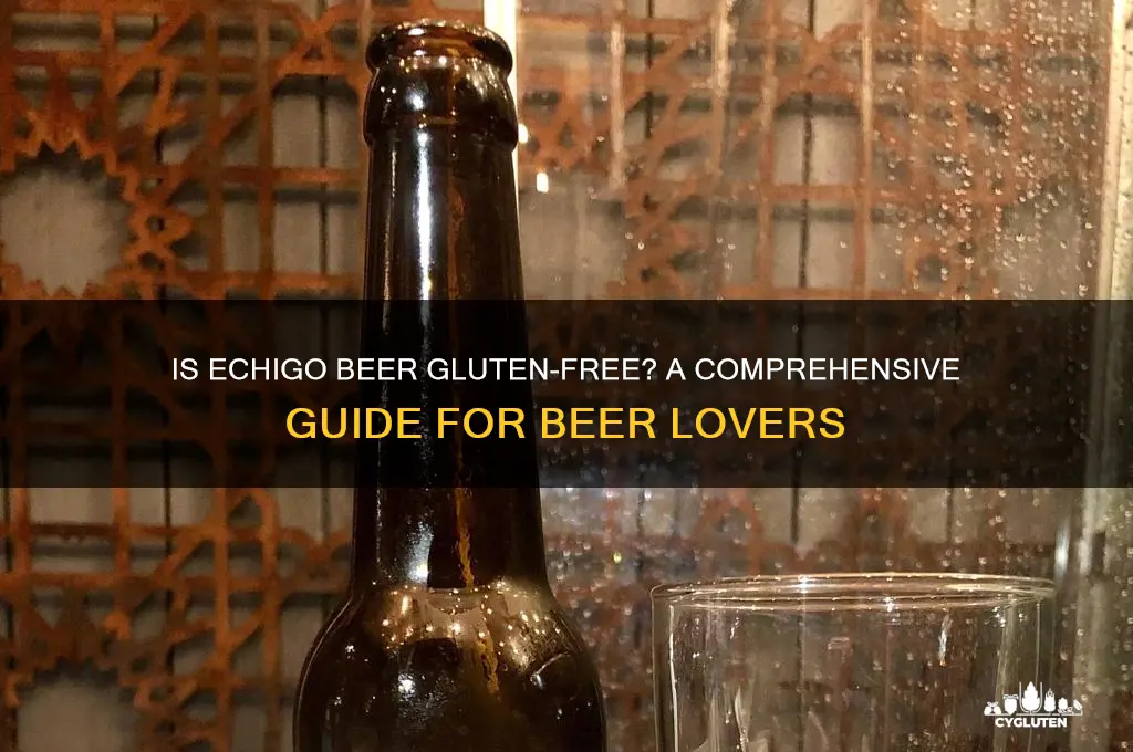 Is Echigo Beer Gluten-Free? A Comprehensive Guide For Beer Lovers ...