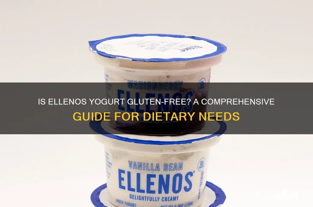 Is Ellenos Yogurt Gluten-Free? A Comprehensive Guide For Dietary Needs ...