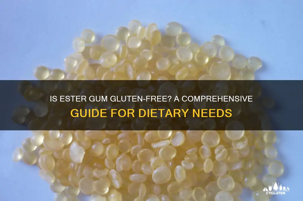 Is Ester Gum Gluten-Free? A Comprehensive Guide For Dietary Needs ...