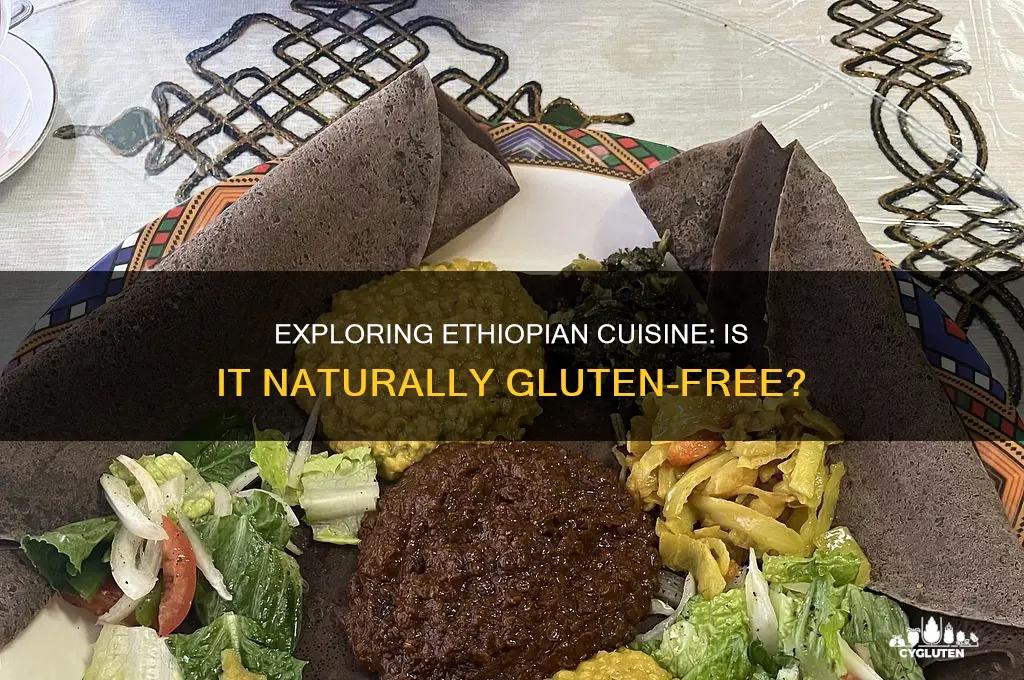 Exploring Ethiopian Cuisine: Is It Naturally Gluten-Free? | CyGluten