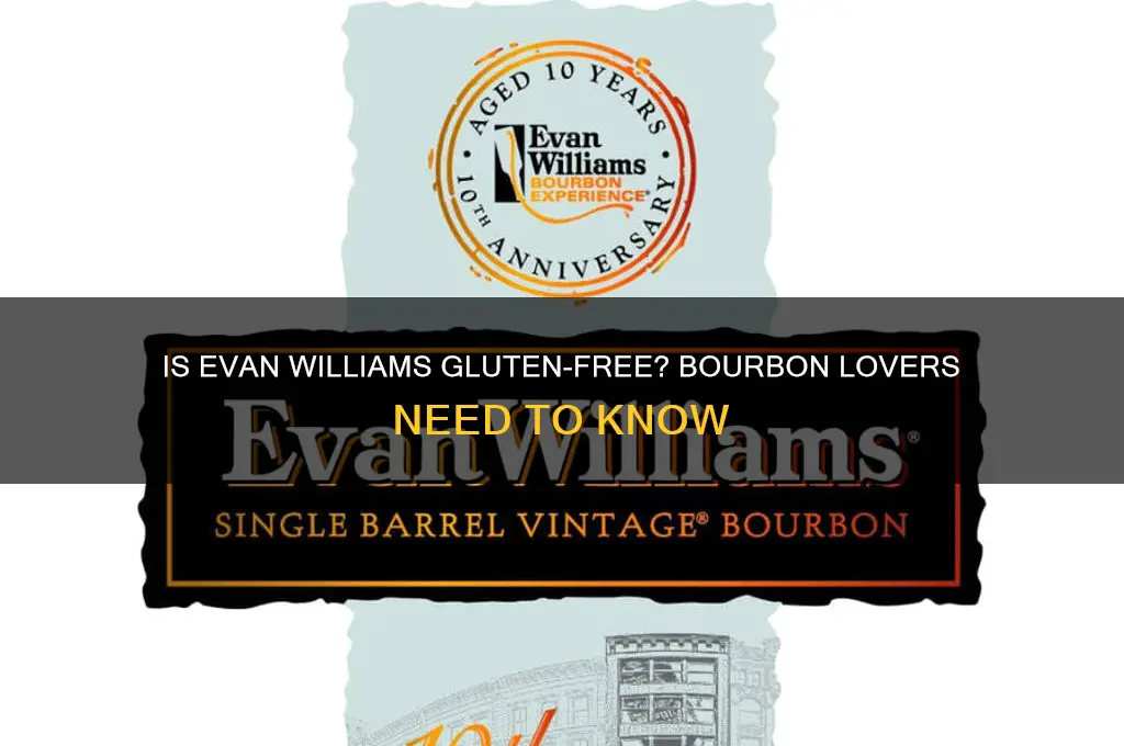 Is Evan Williams Gluten-Free? Bourbon Lovers Need To Know | CyGluten