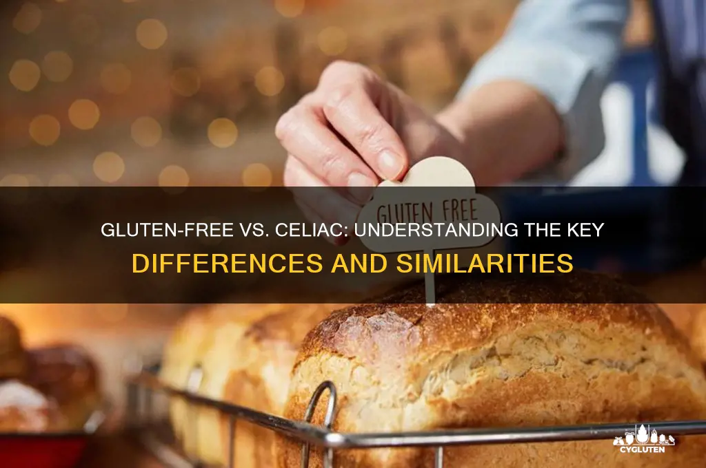Gluten-Free Vs. Celiac: Understanding The Key Differences And ...
