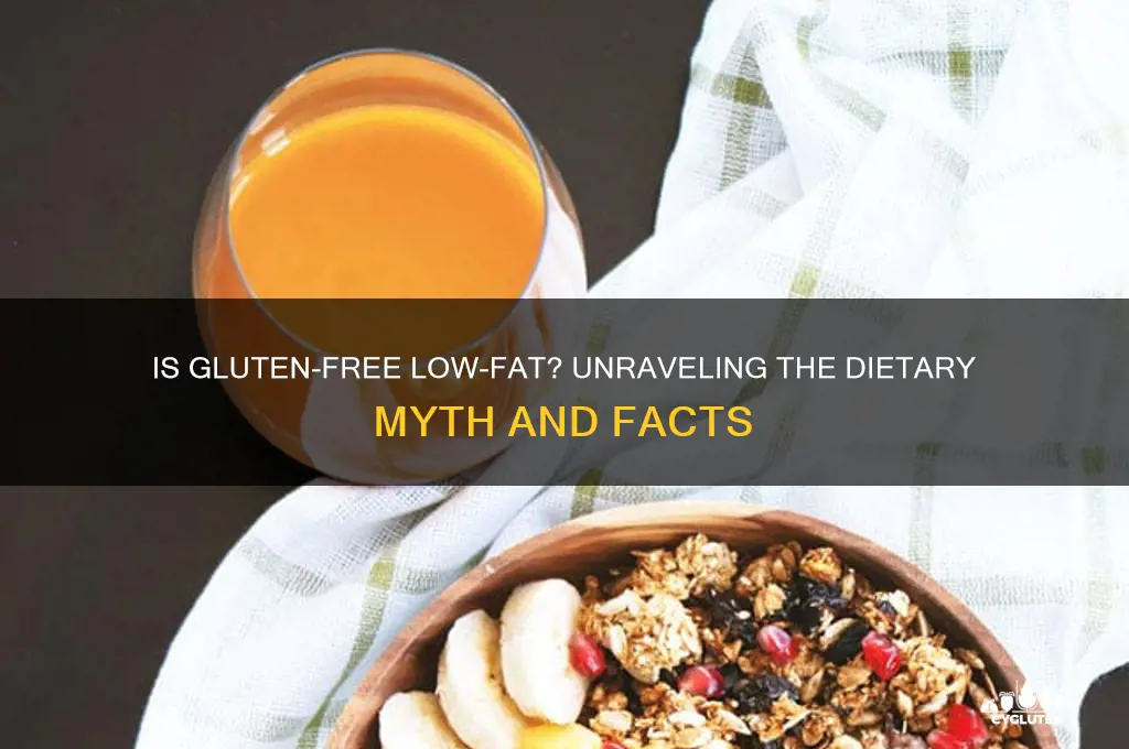 Is Gluten-Free Low-Fat? Unraveling The Dietary Myth And Facts | CyGluten