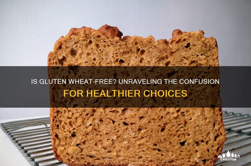 Is Gluten Wheat-Free? Unraveling The Confusion For Healthier Choices ...