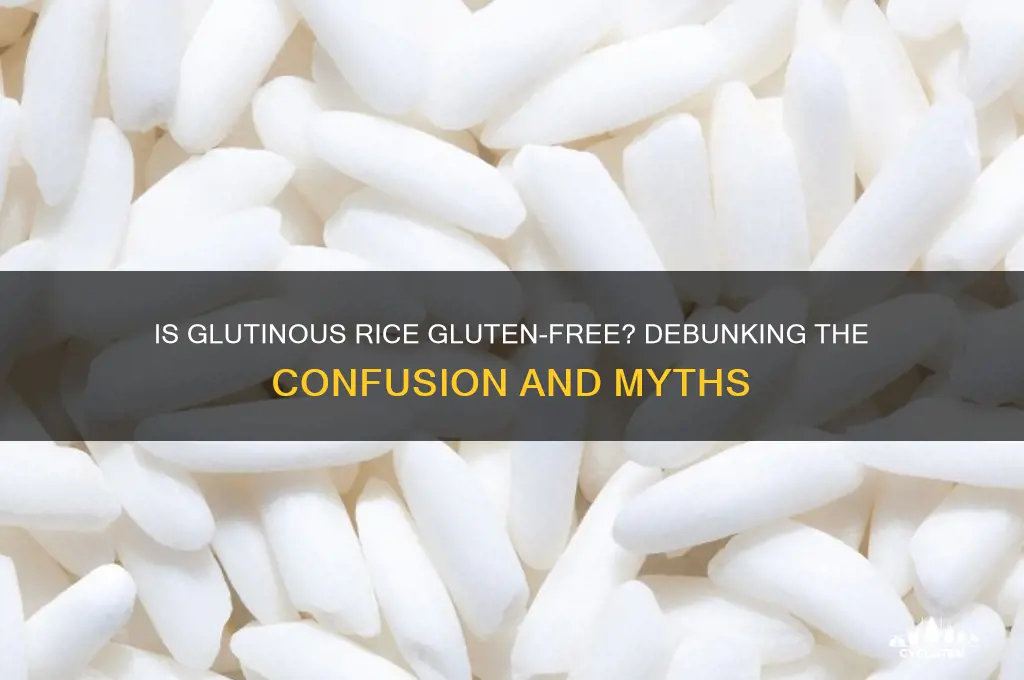 Is Glutinous Rice Gluten-Free? Debunking The Confusion And Myths | CyGluten