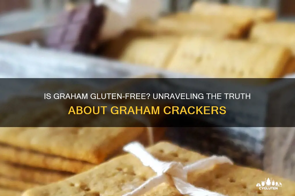 Is Graham Gluten-Free? Unraveling The Truth About Graham Crackers ...