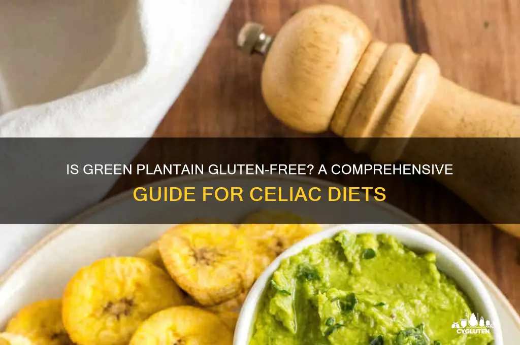 Are Plantains Gluten Free