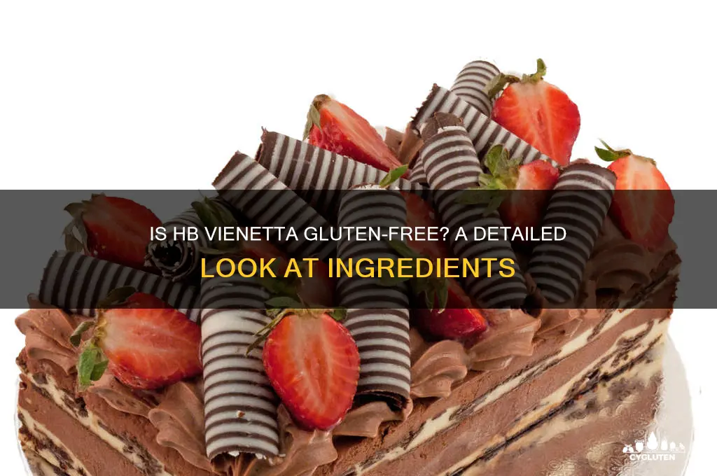 Is Hb Vienetta Gluten-Free? A Detailed Look At Ingredients | CyGluten