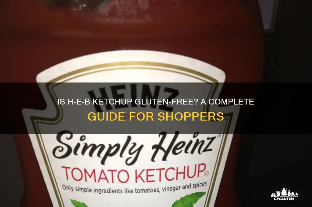 Is H-E-B Ketchup Gluten-Free? A Complete Guide For Shoppers | CyGluten