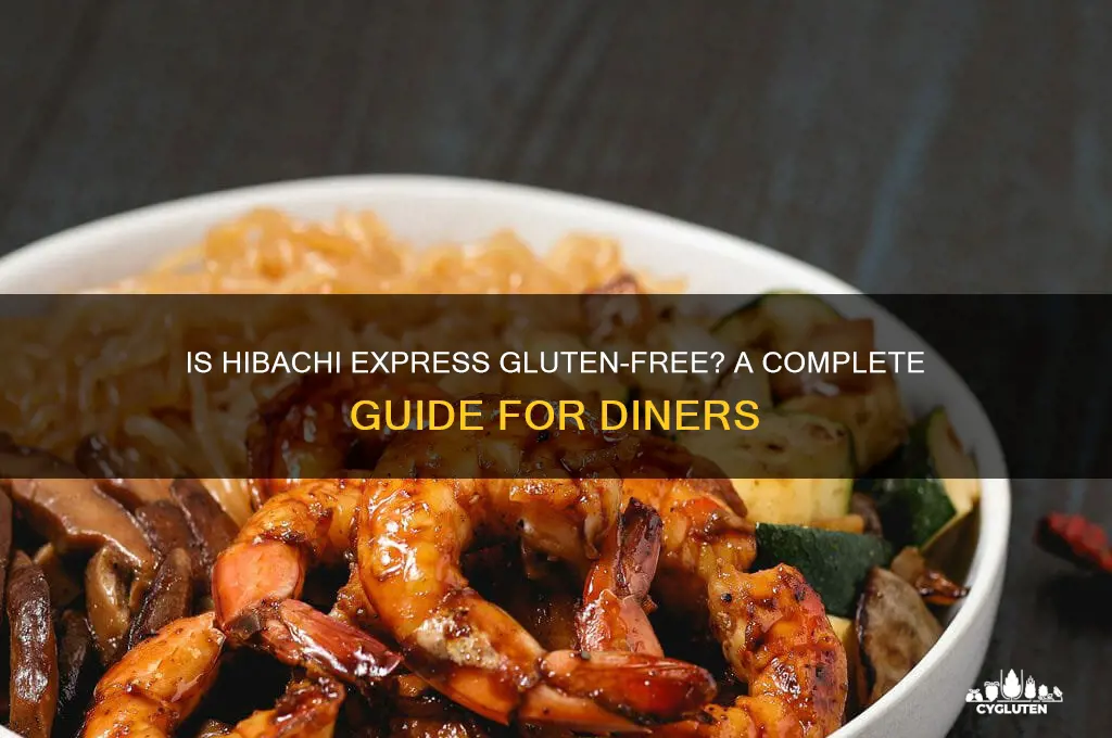 Is Hibachi Express Gluten-Free? A Complete Guide For Diners | CyGluten