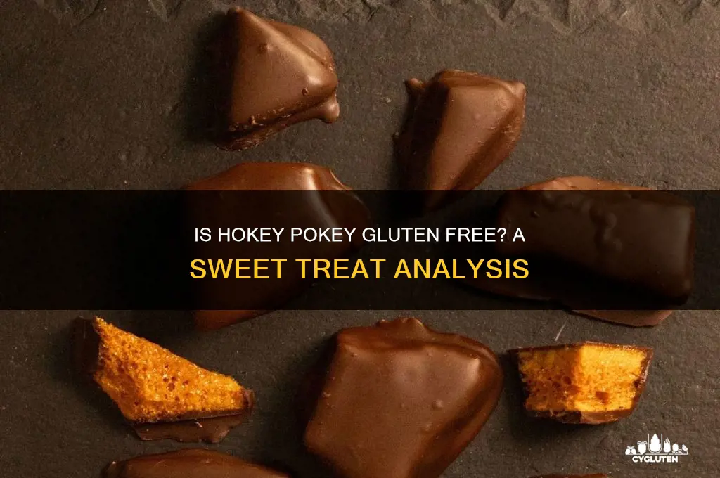 Is Hokey Pokey Gluten Free? A Sweet Treat Analysis | CyGluten