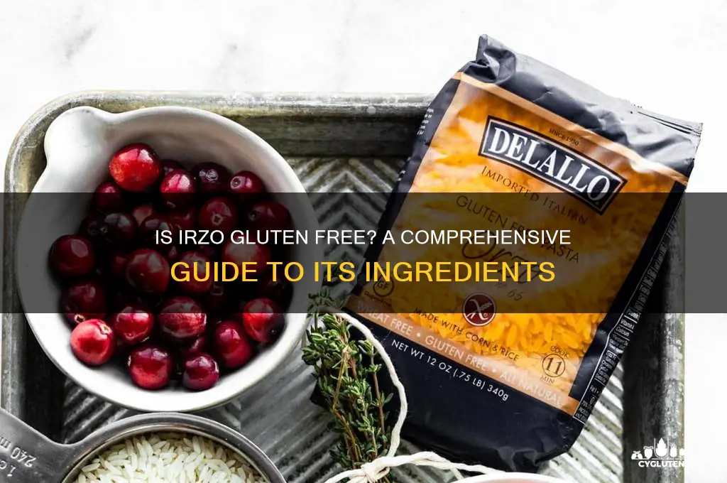 Is Irzo Gluten Free? A Comprehensive Guide To Its Ingredients | CyGluten