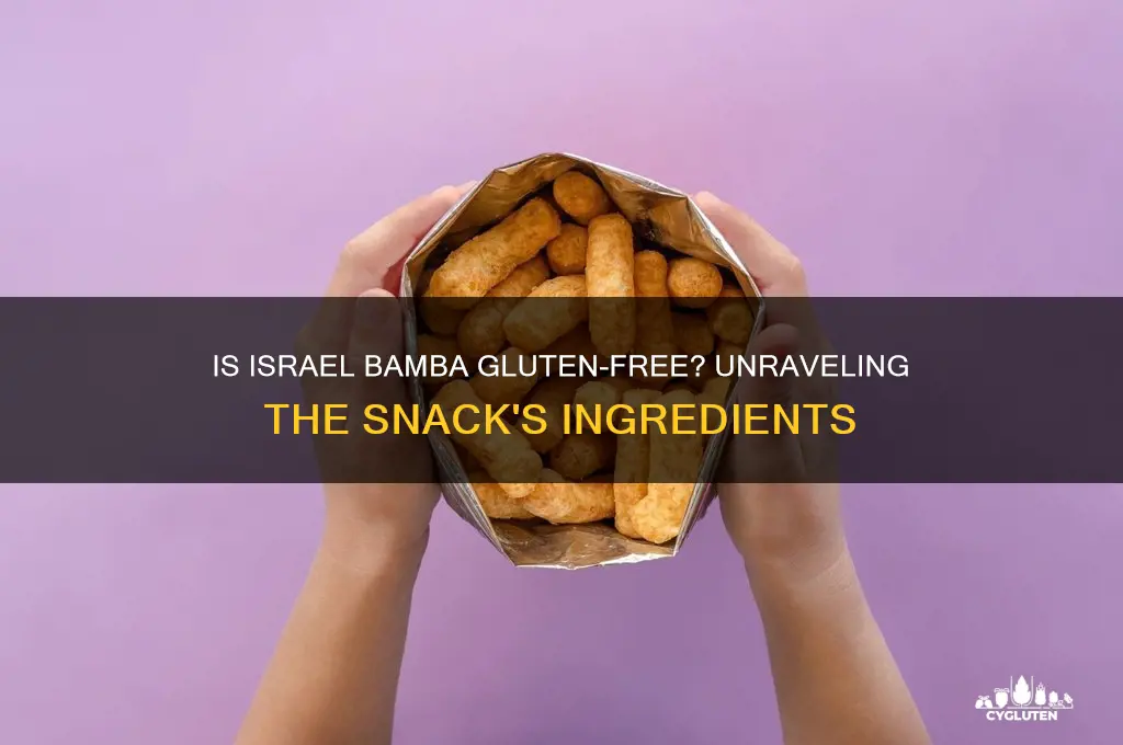 Is Israel Bamba Gluten-Free? Unraveling The Snack's Ingredients | CyGluten