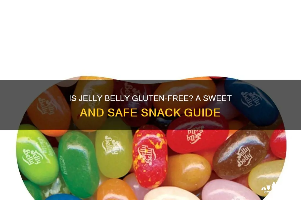 Are Jelly Bellys Gluten Free