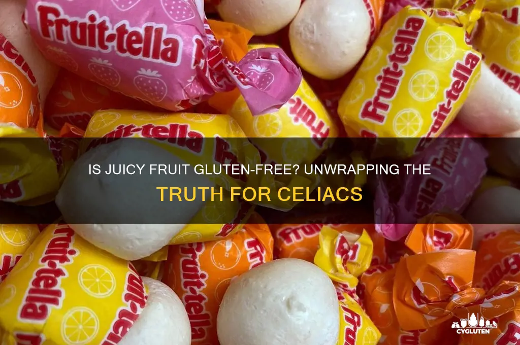 Is Juicy Fruit Gluten-Free? Unwrapping The Truth For Celiacs | CyGluten