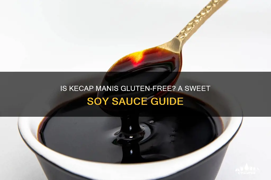 Is Kecap Manis Gluten-Free? A Sweet Soy Sauce Guide | CyGluten
