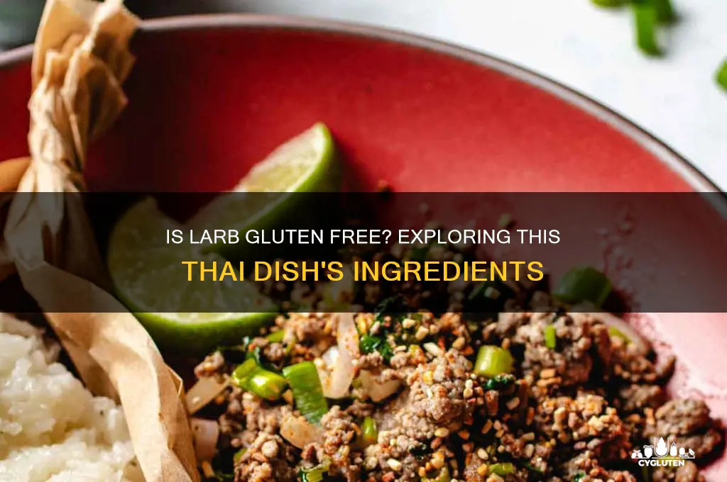 Is Larb Gluten Free? Exploring This Thai Dish's Ingredients | CyGluten