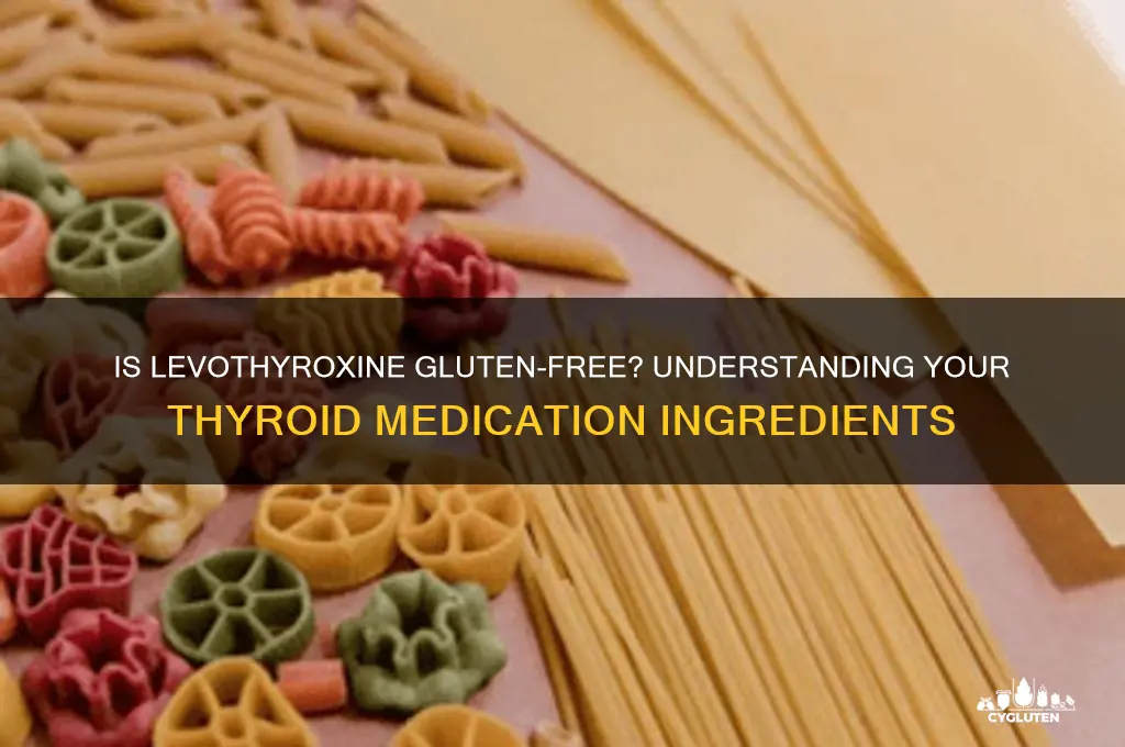 Is Levothyroxine Gluten-Free? Understanding Your Thyroid Medication ...