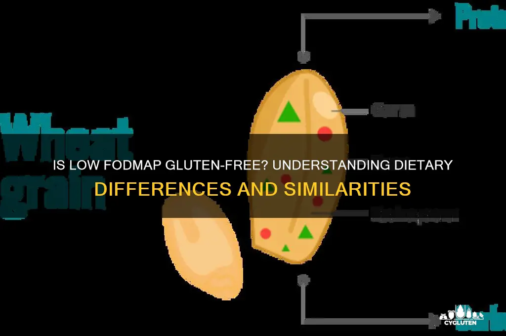 Is Low Fodmap Gluten-Free? Understanding Dietary Differences And ...