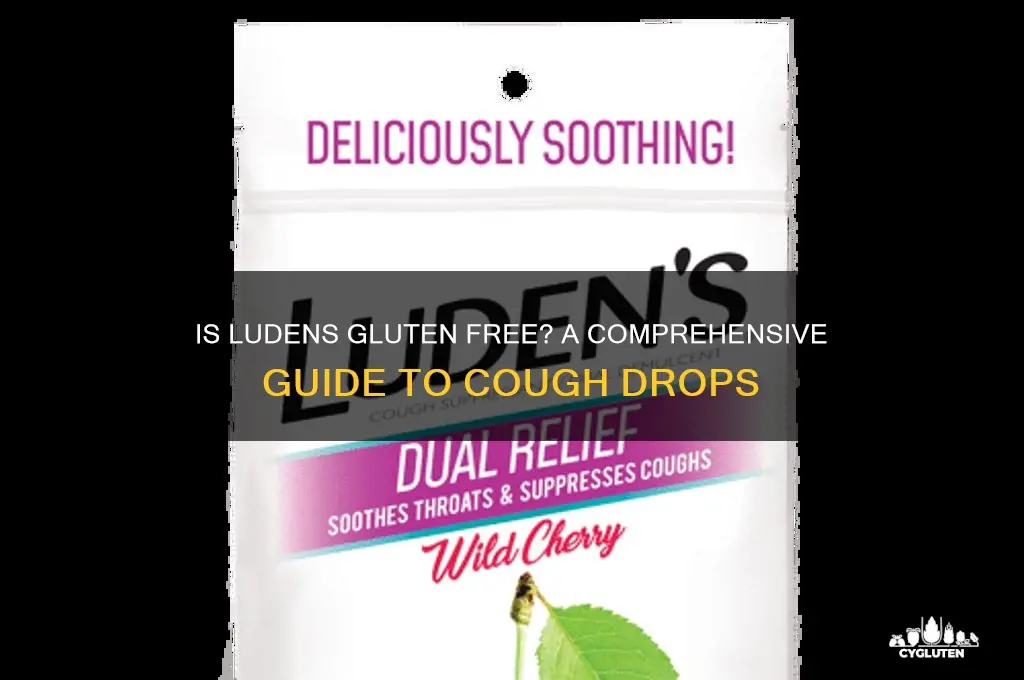 Is Ludens Gluten Free? A Comprehensive Guide To Cough Drops | CyGluten