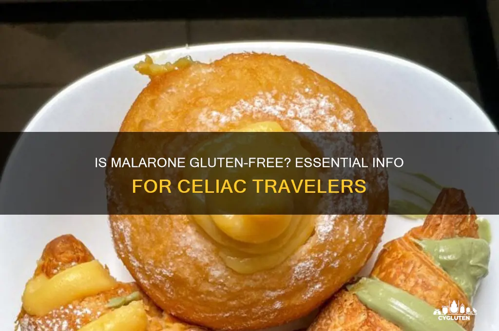 Is Malarone Gluten-Free? Essential Info For Celiac Travelers | CyGluten