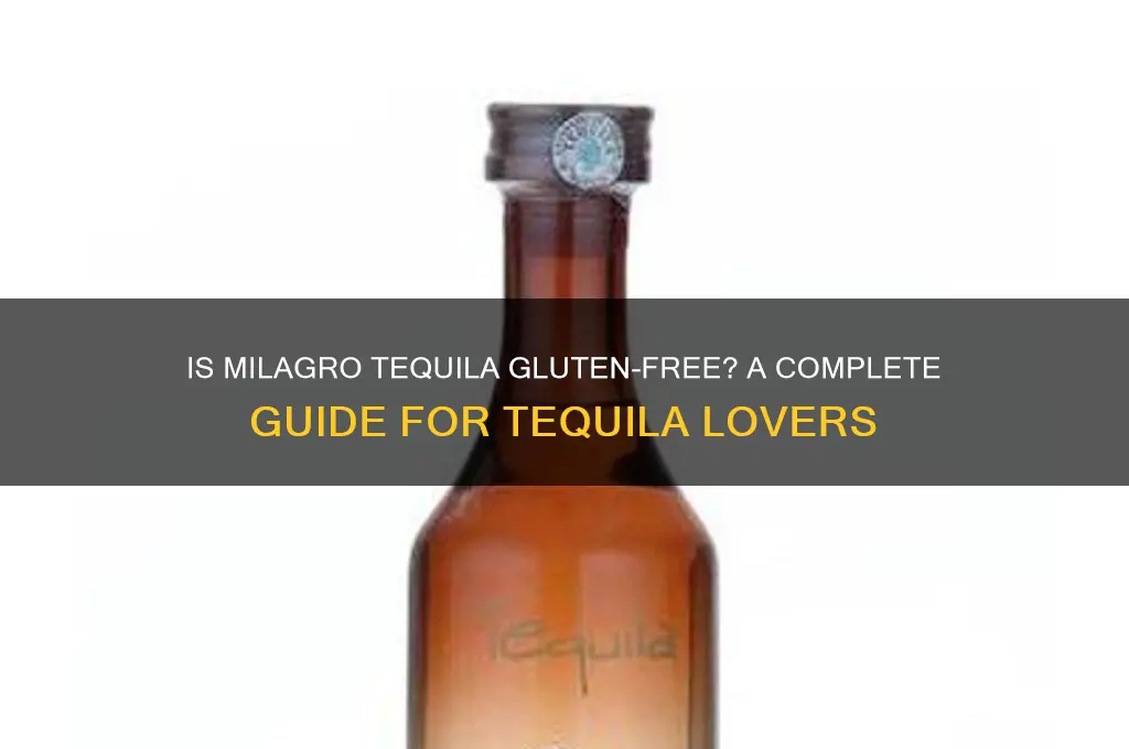 Is Milagro Tequila Gluten-Free? A Complete Guide For Tequila Lovers ...