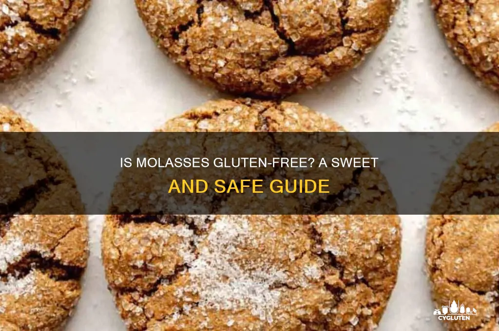 Is Molasses Gluten-Free? A Sweet And Safe Guide | CyGluten
