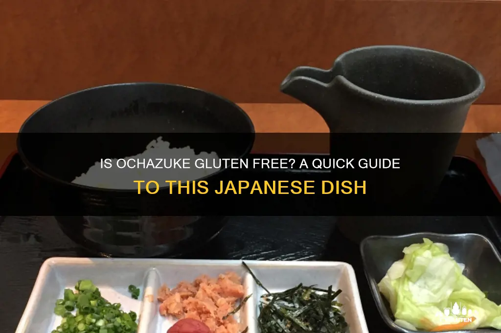 Is Ochazuke Gluten Free? A Quick Guide To This Japanese Dish | CyGluten
