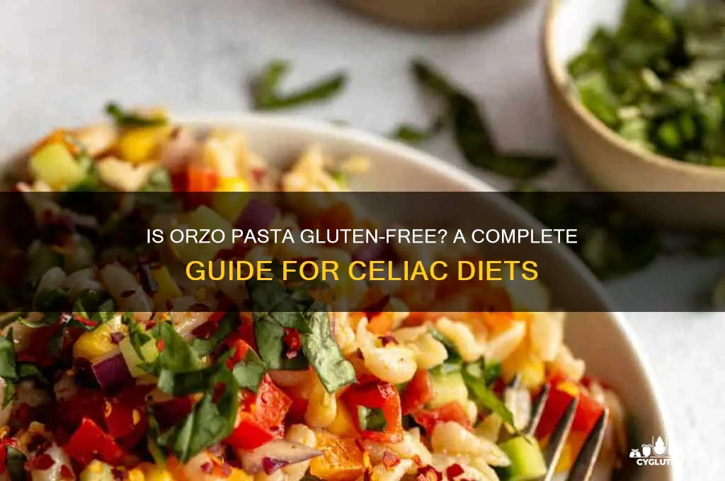 Is Orzo Pasta Gluten-Free? A Complete Guide For Celiac Diets | CyGluten
