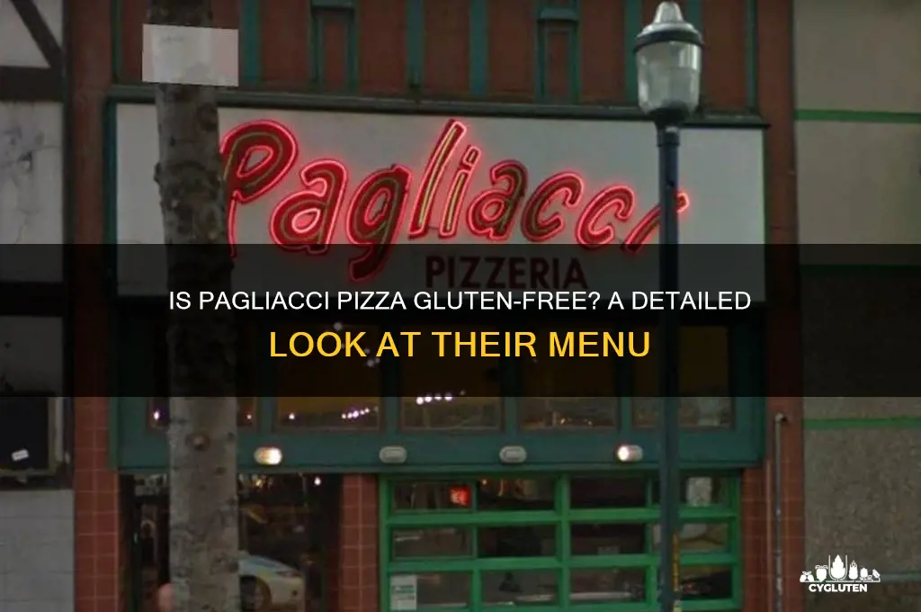 Is Pagliacci Pizza Gluten-Free? A Detailed Look At Their Menu | CyGluten