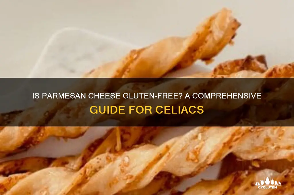 Is Parmesan Cheese Gluten-Free? A Comprehensive Guide For Celiacs ...