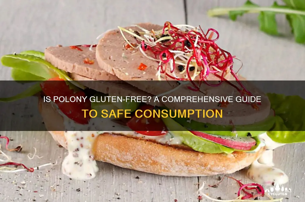Is Polony Gluten-Free? A Comprehensive Guide To Safe Consumption | CyGluten