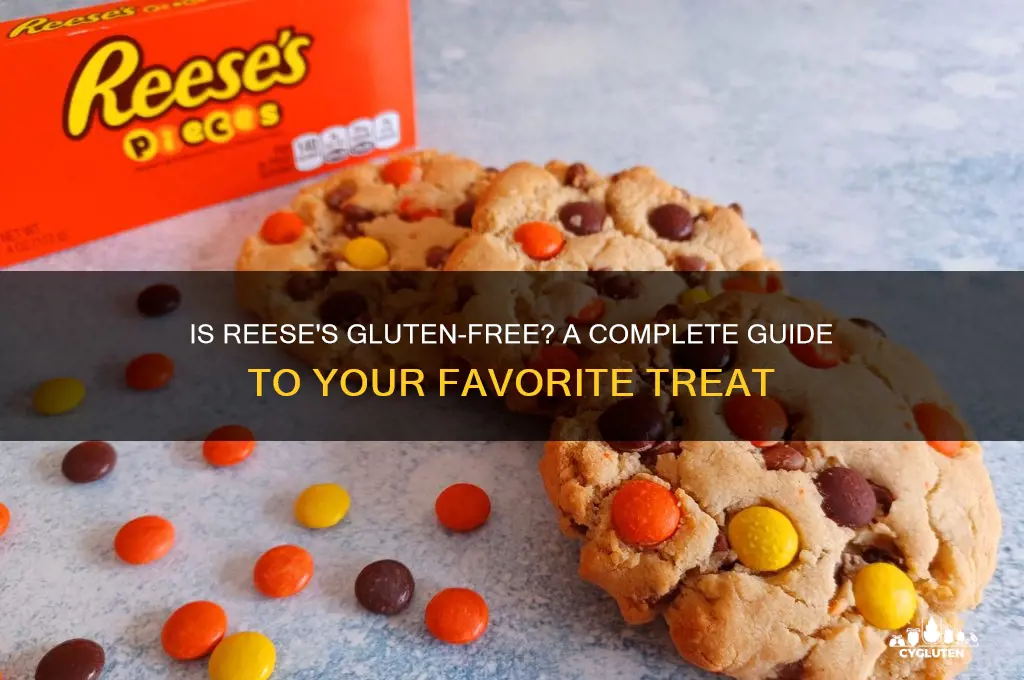 Is Reese's Gluten-Free? A Complete Guide To Your Favorite Treat | CyGluten