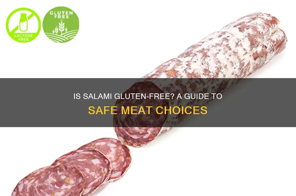 Is Salami Gluten-Free? A Guide To Safe Meat Choices | CyGluten