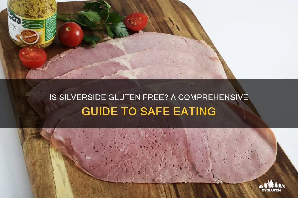 Is Silverside Gluten Free? A Comprehensive Guide To Safe Eating | CyGluten