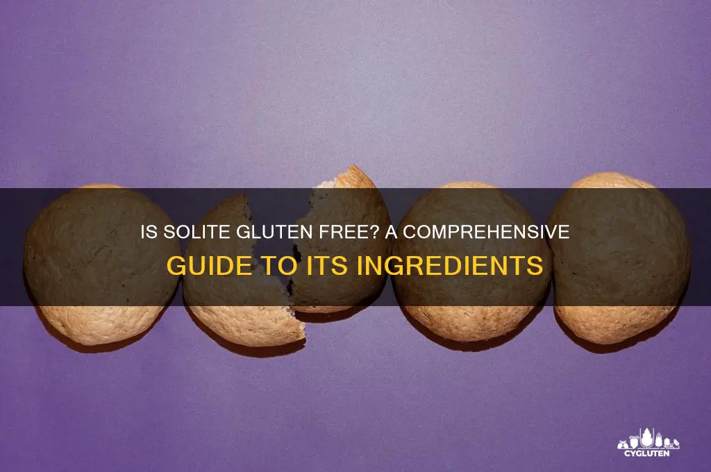 Is Solite Gluten Free? A Comprehensive Guide To Its Ingredients | CyGluten