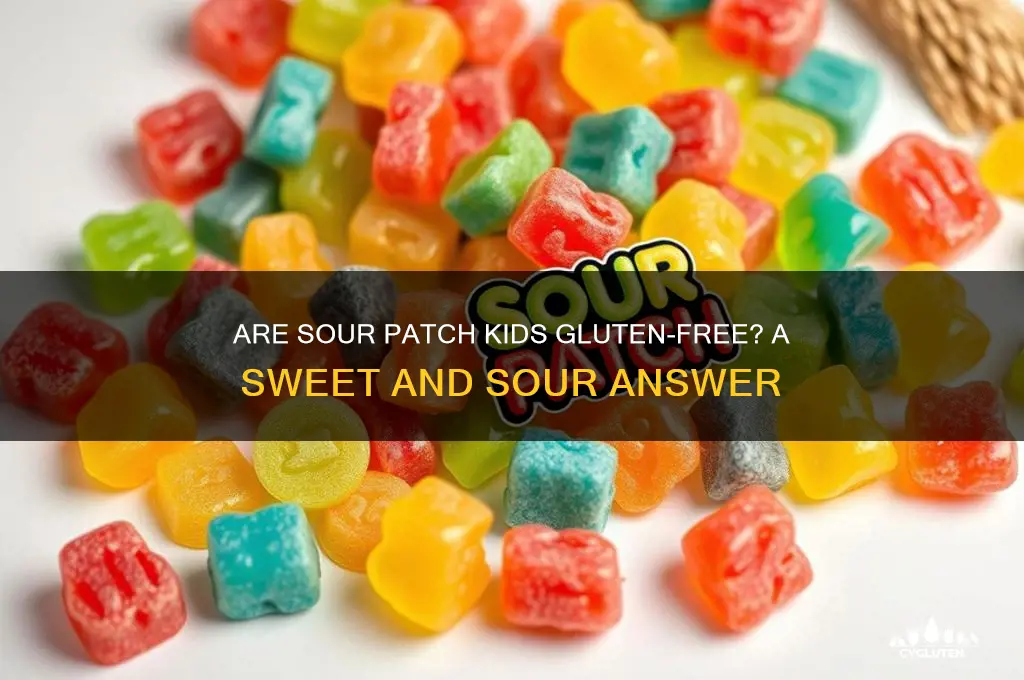 Are Sour Patch Kids Gluten-Free? A Sweet And Sour Answer | CyGluten