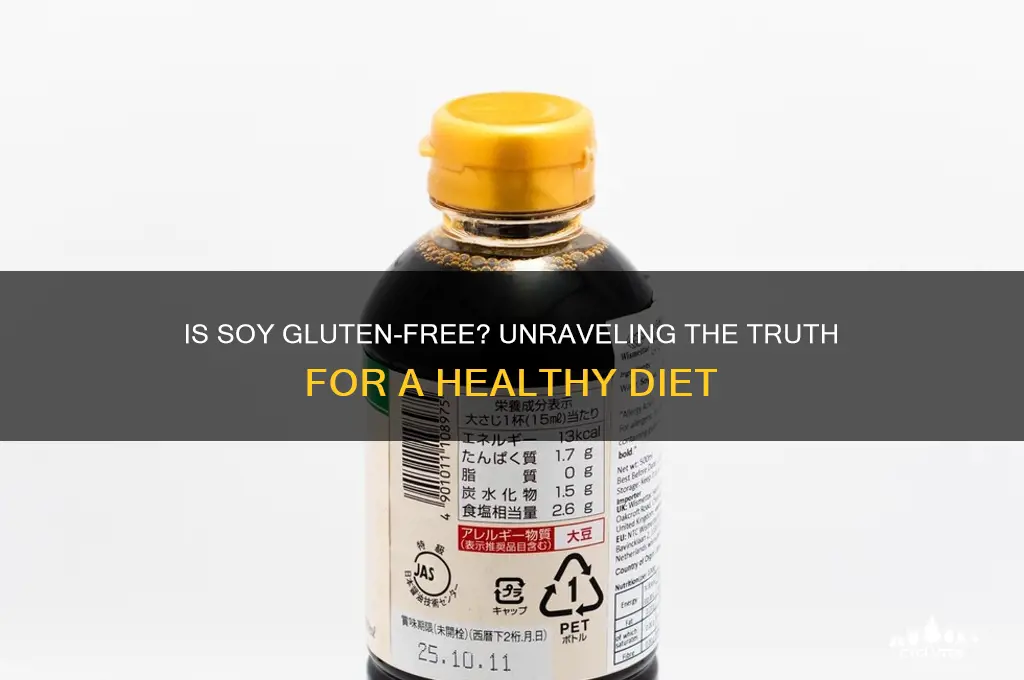 Is Soy Gluten-Free? Unraveling The Truth For A Healthy Diet | CyGluten