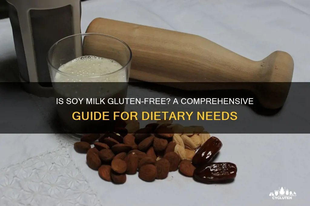 Is Soy Milk Gluten-Free? A Comprehensive Guide For Dietary Needs | CyGluten