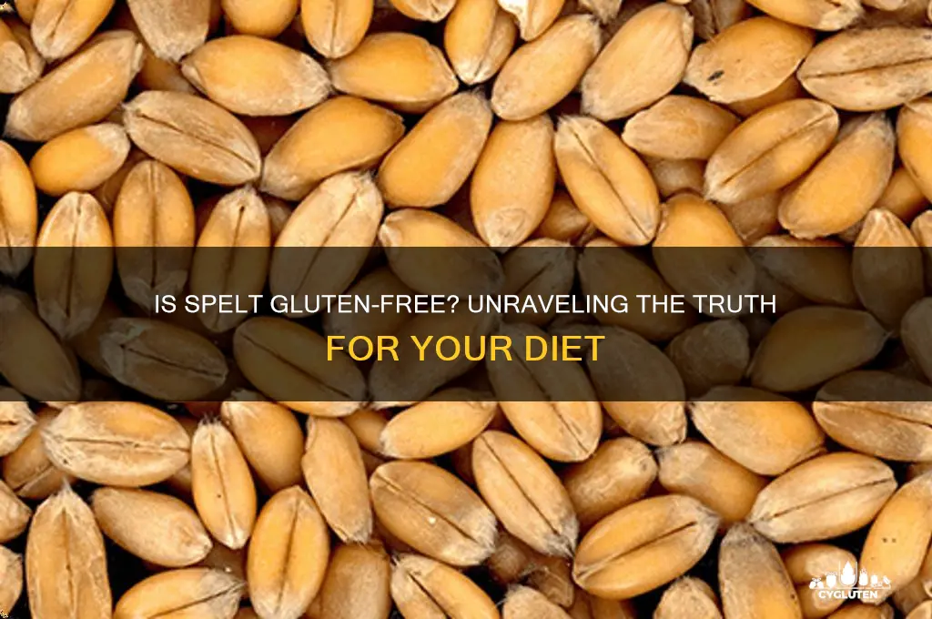 Is Spelt Gluten-Free? Unraveling The Truth For Your Diet | CyGluten