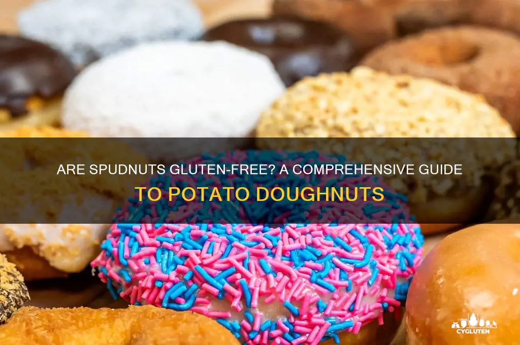 Are Spudnuts Gluten-Free? A Comprehensive Guide To Potato Doughnuts ...