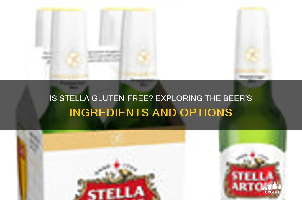 Is Stella Gluten-Free? Exploring The Beer's Ingredients And Options ...