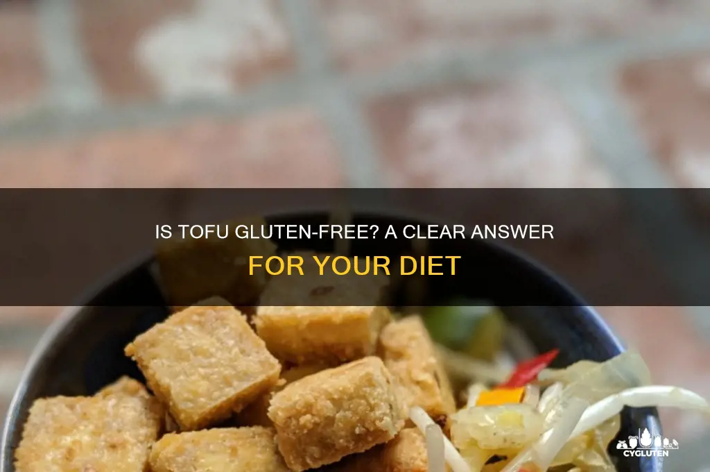 Is Tofu Gluten-Free? A Clear Answer For Your Diet | CyGluten