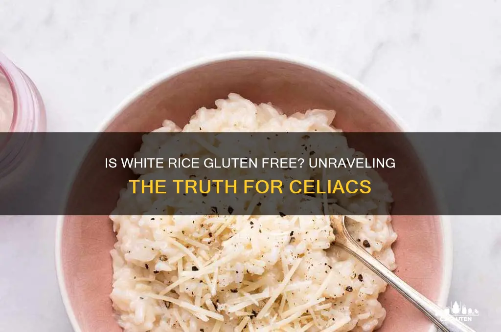 Is White Rice Gluten Free? Unraveling The Truth For Celiacs | CyGluten