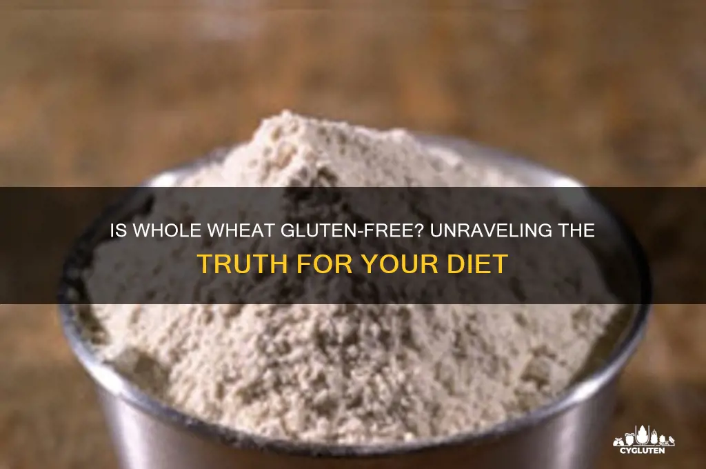 Is Whole Wheat Gluten-Free? Unraveling The Truth For Your Diet | CyGluten