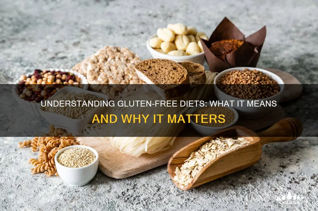 Understanding Gluten-Free Diets: What It Means And Why It Matters ...