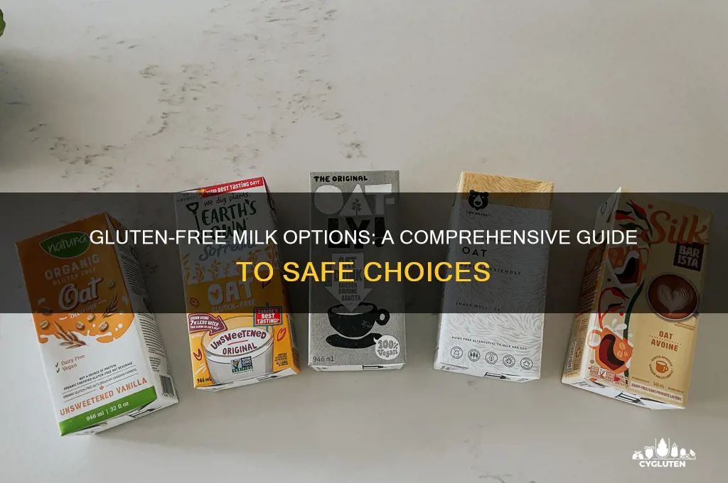 Gluten-Free Milk Options: A Comprehensive Guide To Safe Choices | CyGluten